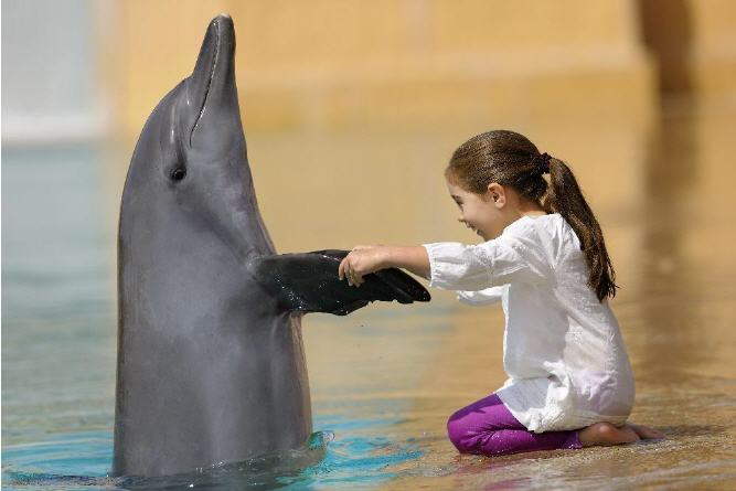 Atlantis Dolphin Bay